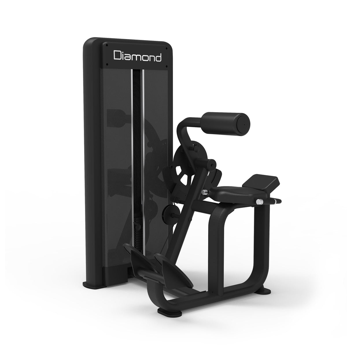 BACK EXTENSION MACHINE - Weight Stack 100 kg - Linea Diamond Professio ...